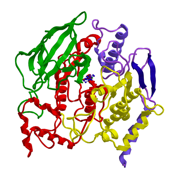 Secukinumab Biosimilar, Human IL17A Antibody | Ushelf