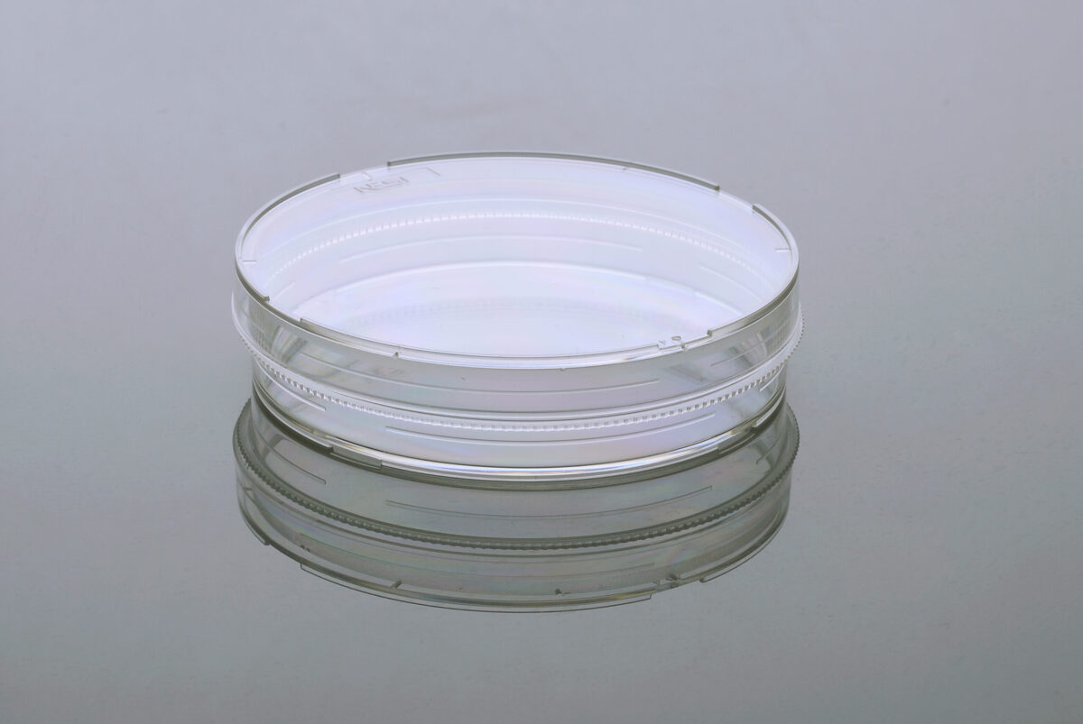100mm Cell Culture Dish (704001) | Nest | Ushelf