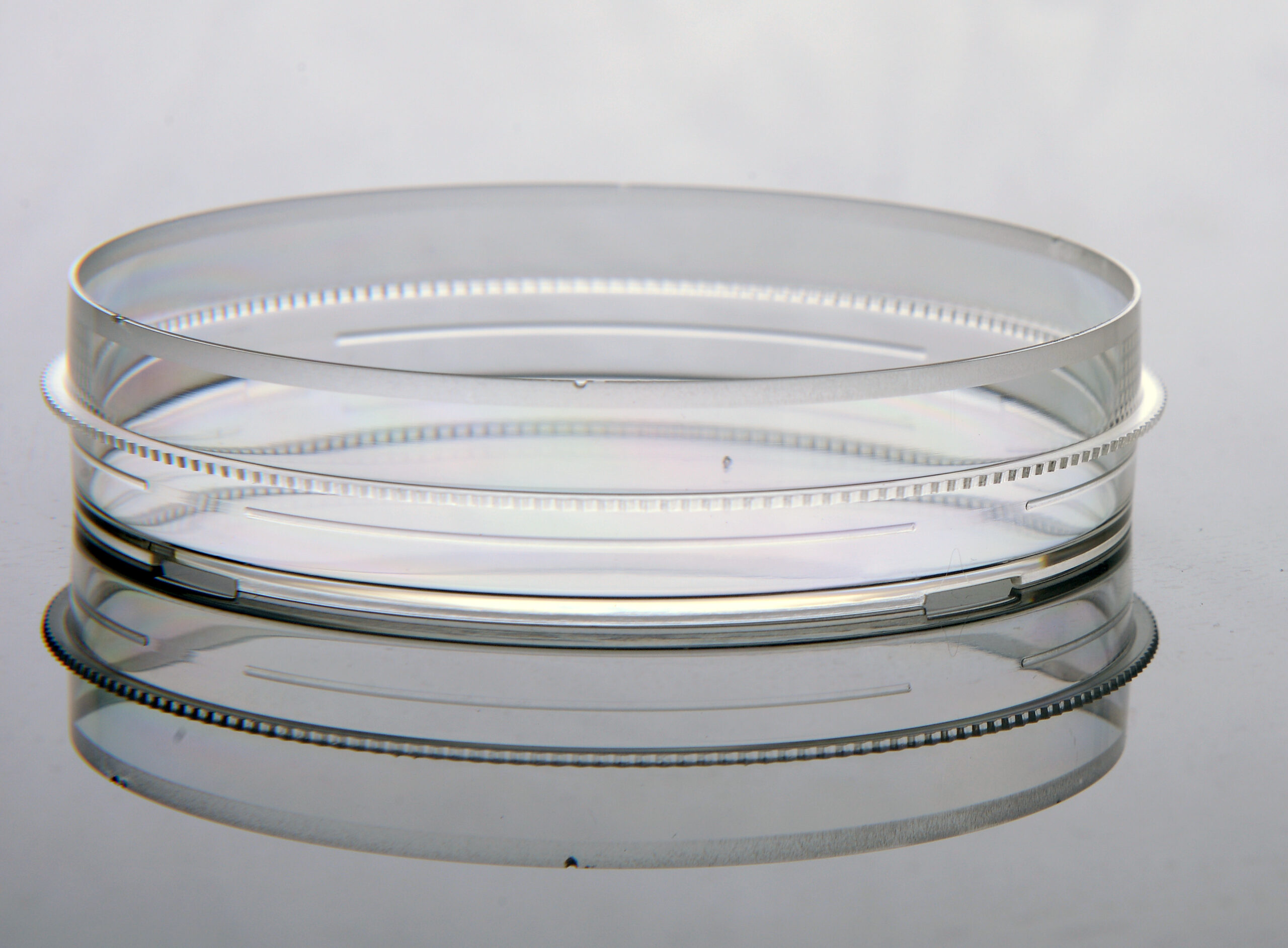 100mm Cell Culture Dish (704201) | Nest | Ushelf