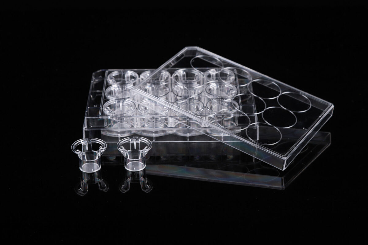 12 Cell Culture Inserts+12 Well Plate (724321) | Nest | Ushelf