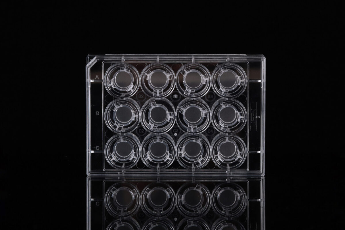 12 Cell Culture Inserts+12 Well Plate (724111) | Nest | Ushelf