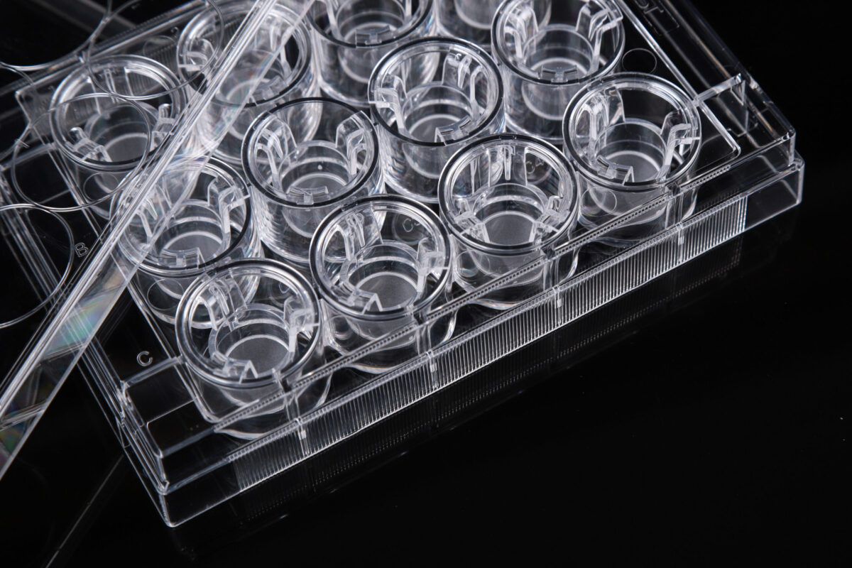 12 Cell Culture Inserts+12 Well Plate (724321) | Nest | Ushelf