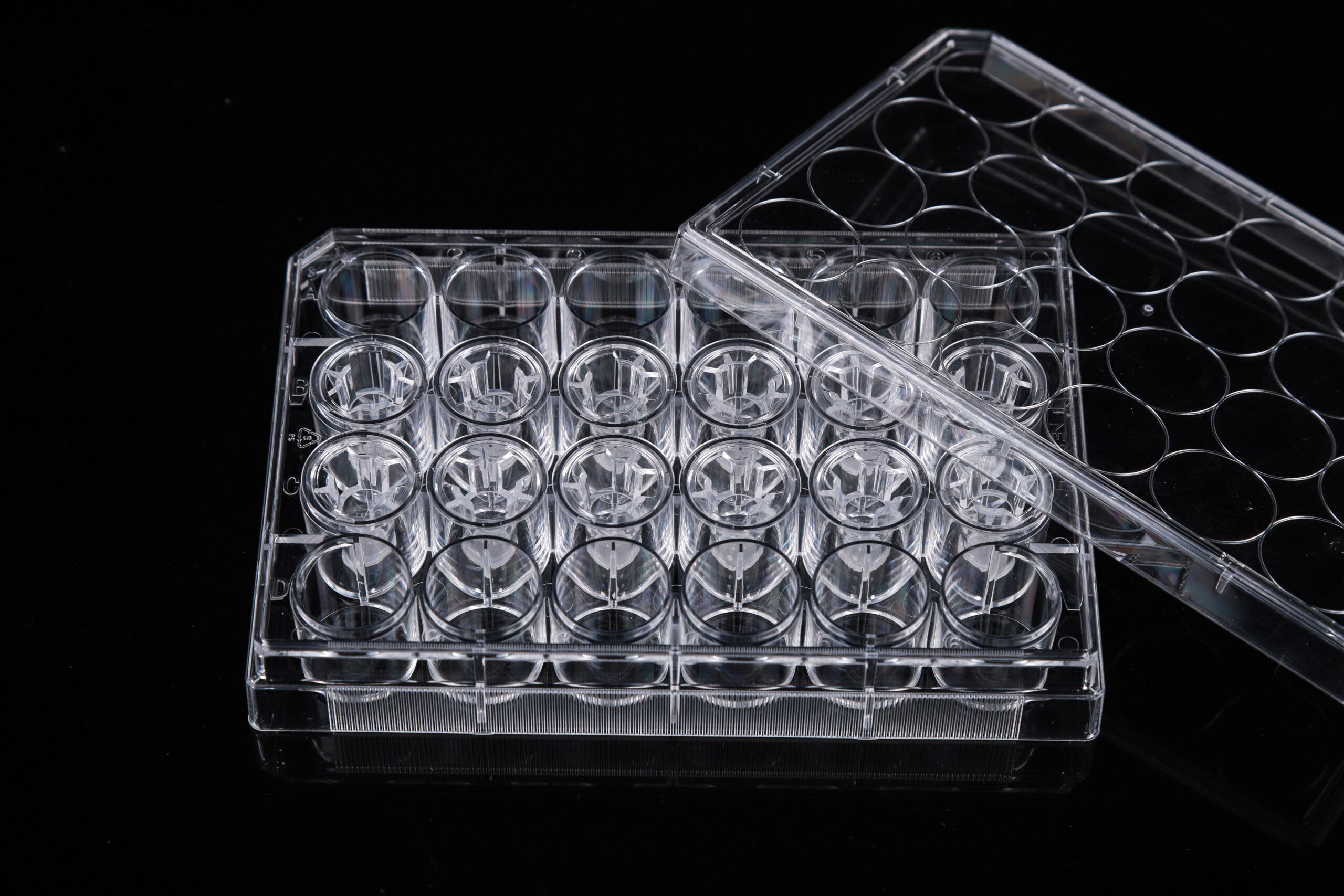 12 Cell Culture Inserts+24 Well Plate (725211) | Nest | Ushelf