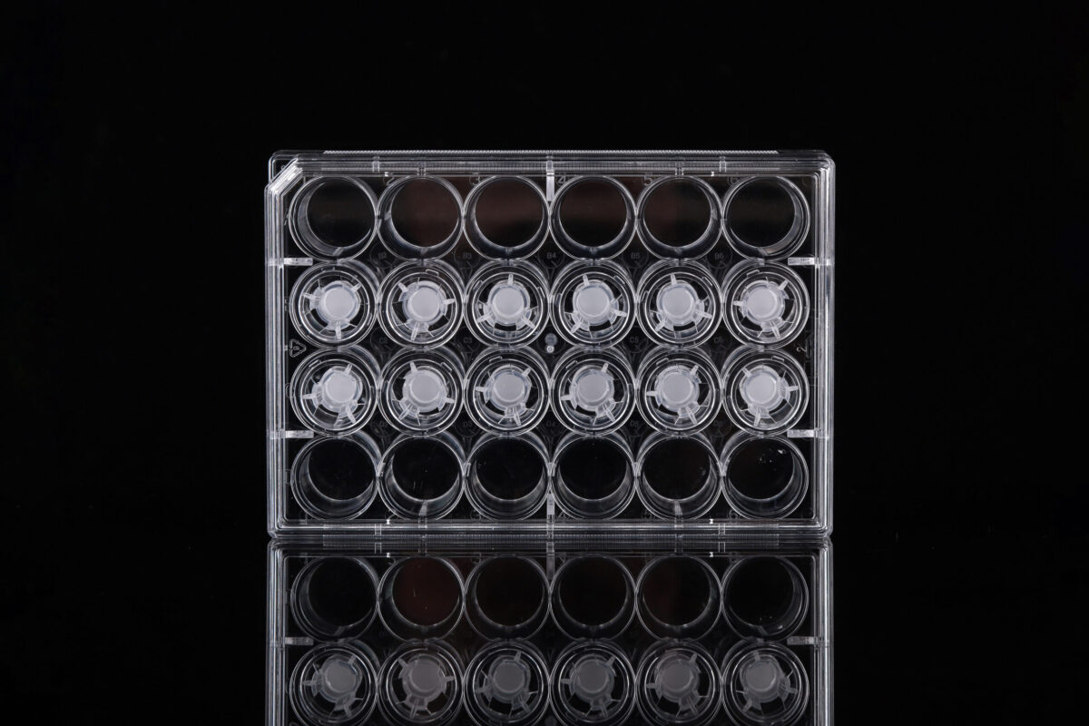 12 Cell Culture Inserts+24 Well Plate (725201) | Nest | Ushelf