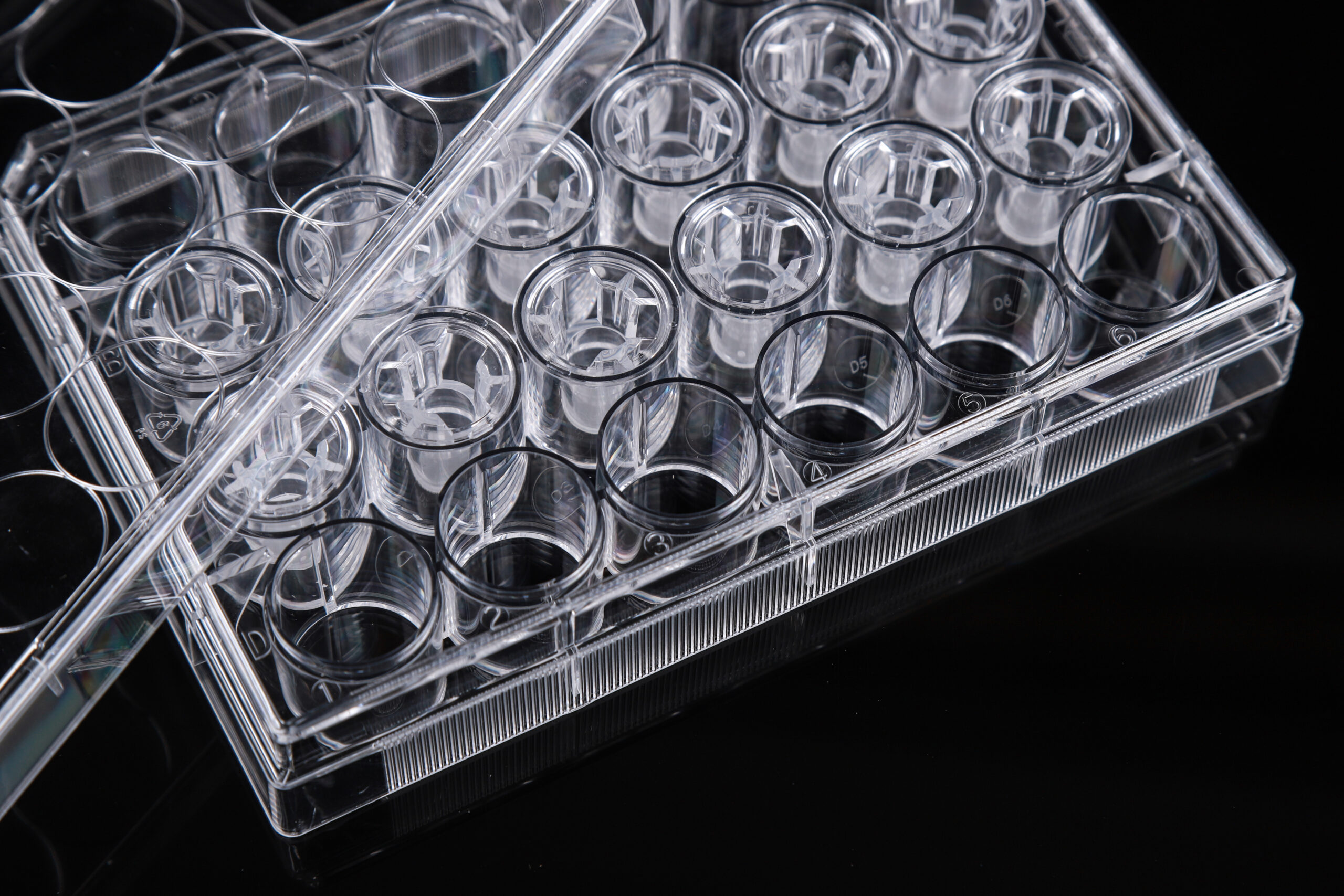 12 Cell Culture Inserts+24 Well Plate (725211) | Nest | Ushelf