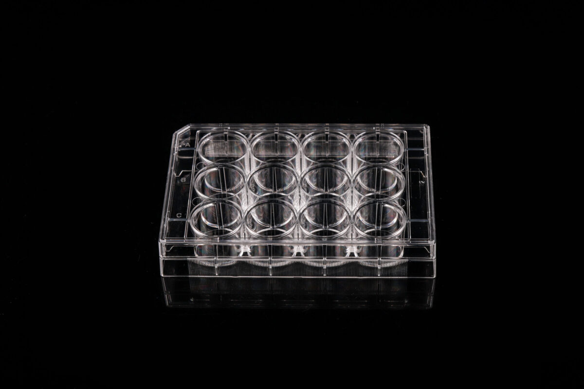 12 Well Cell Culture Plate (712003) | Nest | Ushelf
