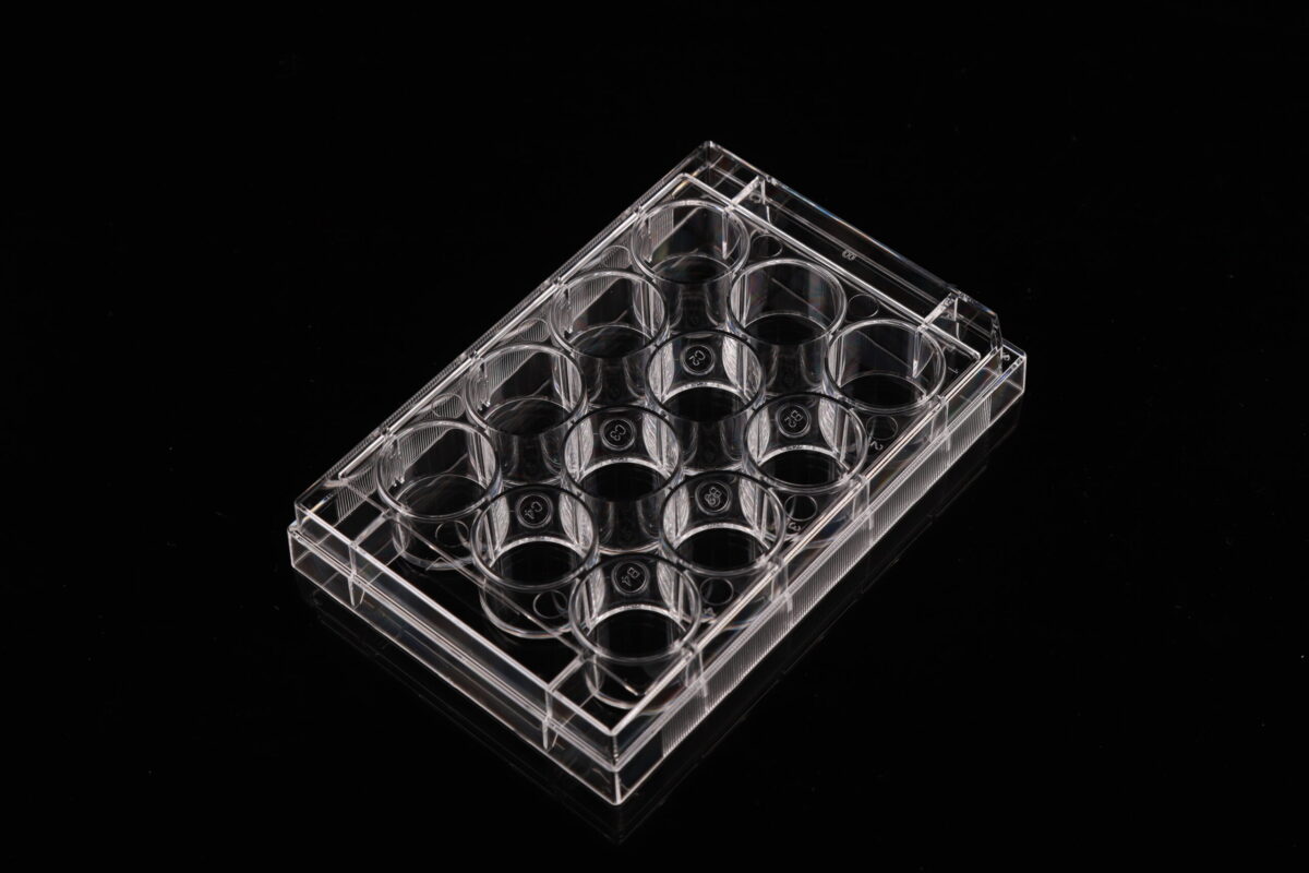 12 Well Cell Culture Plate (712003) | Nest | Ushelf