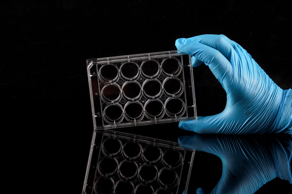 12 Well Cell Culture Plate (712003) | Nest | Ushelf