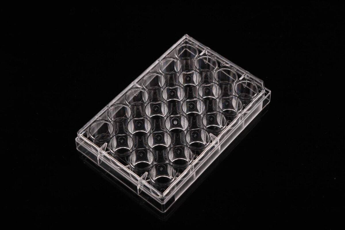 24 Well Cell Culture Plate, Flat, TC, Sterile (702003) | Nest | Ushelf