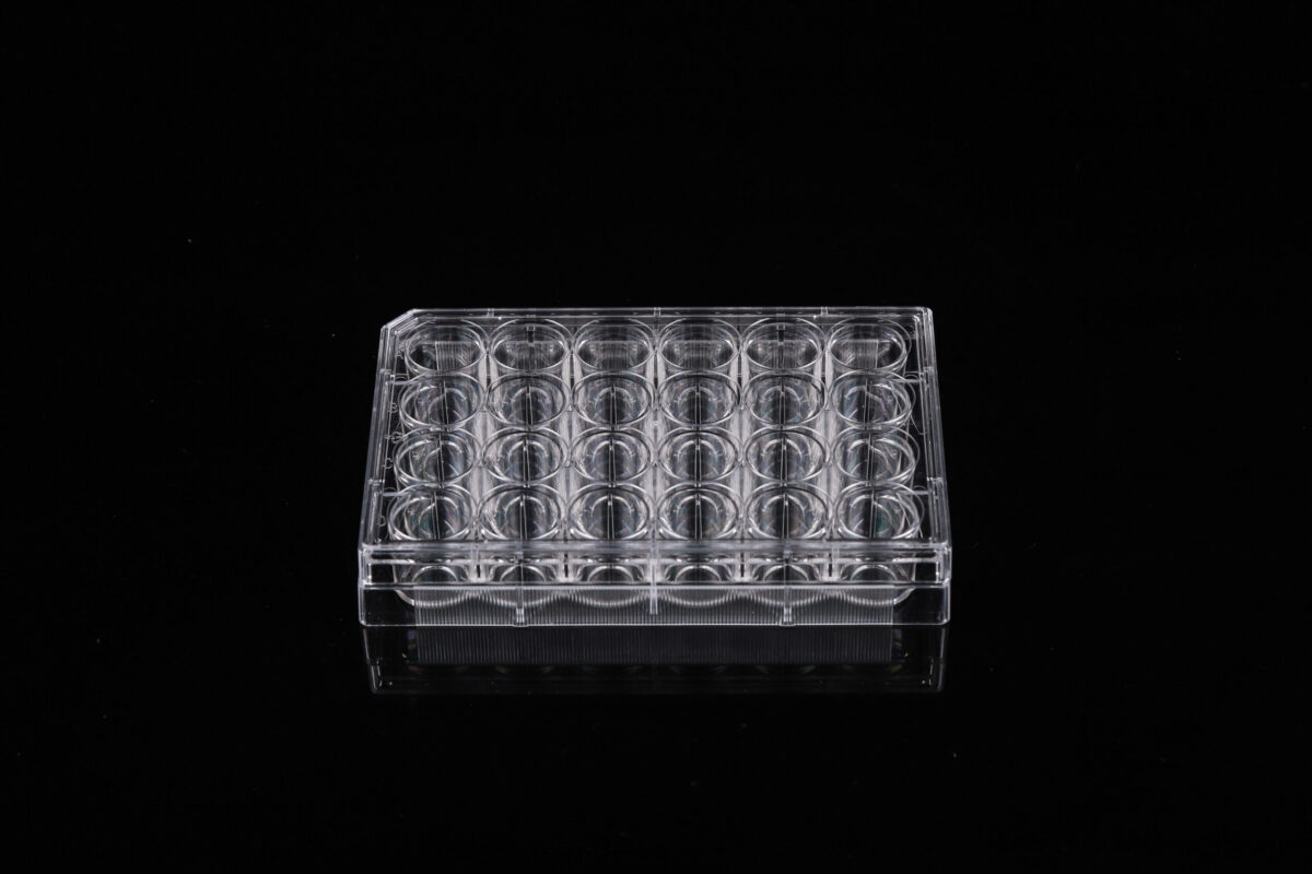 24 Well Glass Bottom Cell Culture Plate (801006) | Nest | Ushelf