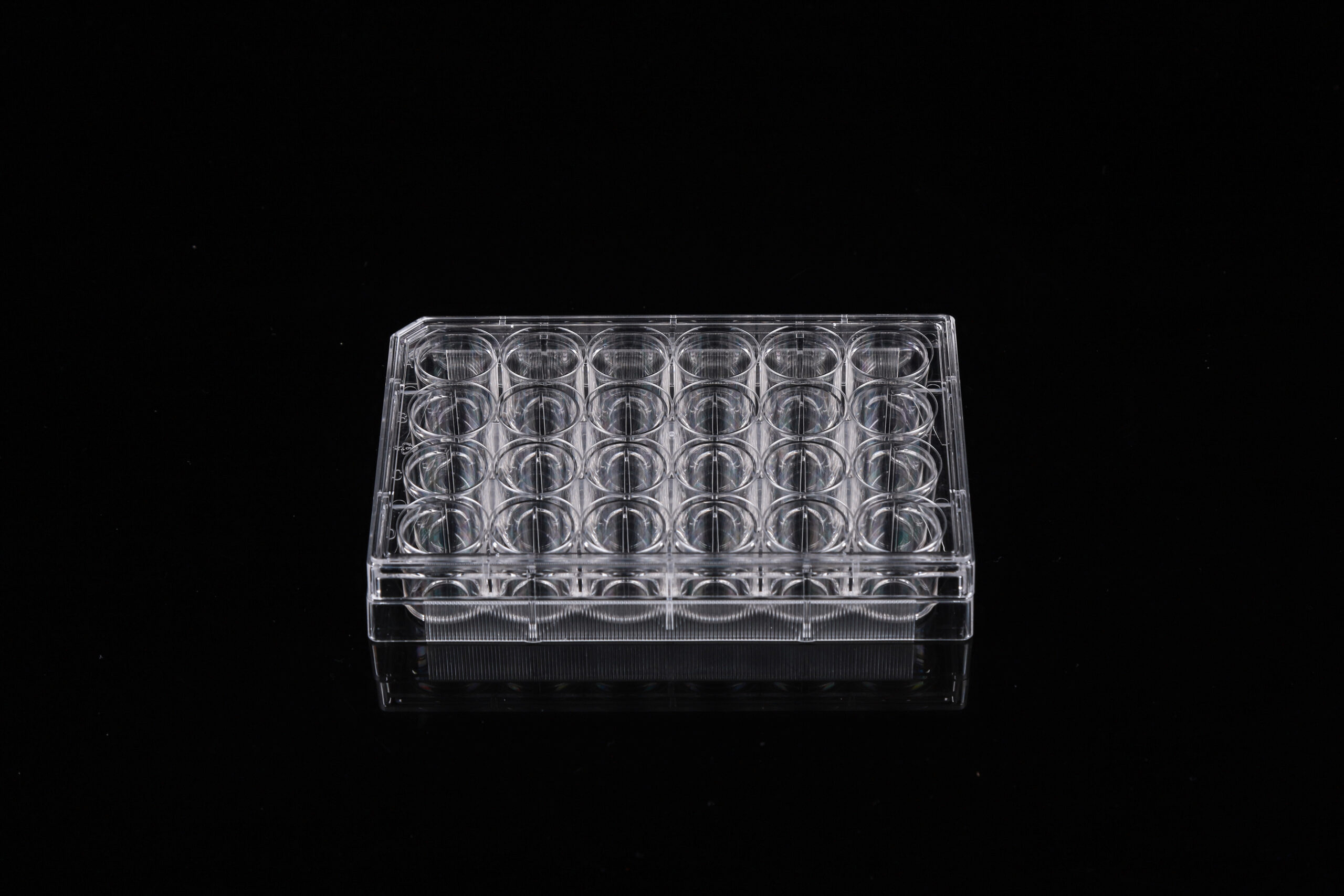 24 Well Glass Bottom Cell Culture Plate (801006) | Nest | Ushelf