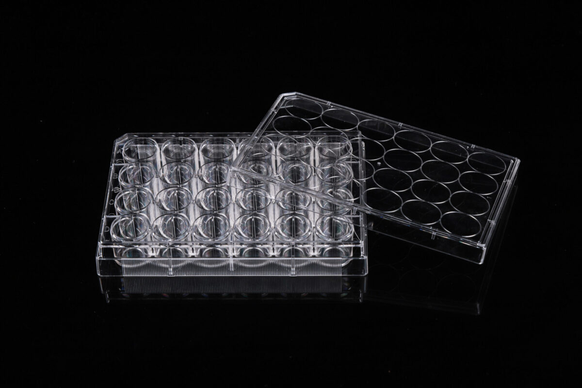 24 Well Glass Bottom Cell Culture Plate (801006) | Nest | Ushelf