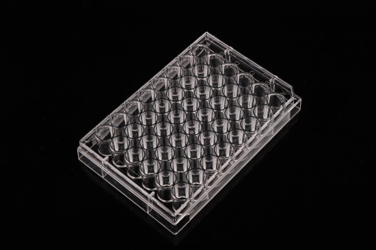 48 Well Cell Culture Plate (748002) | Nest | Ushelf