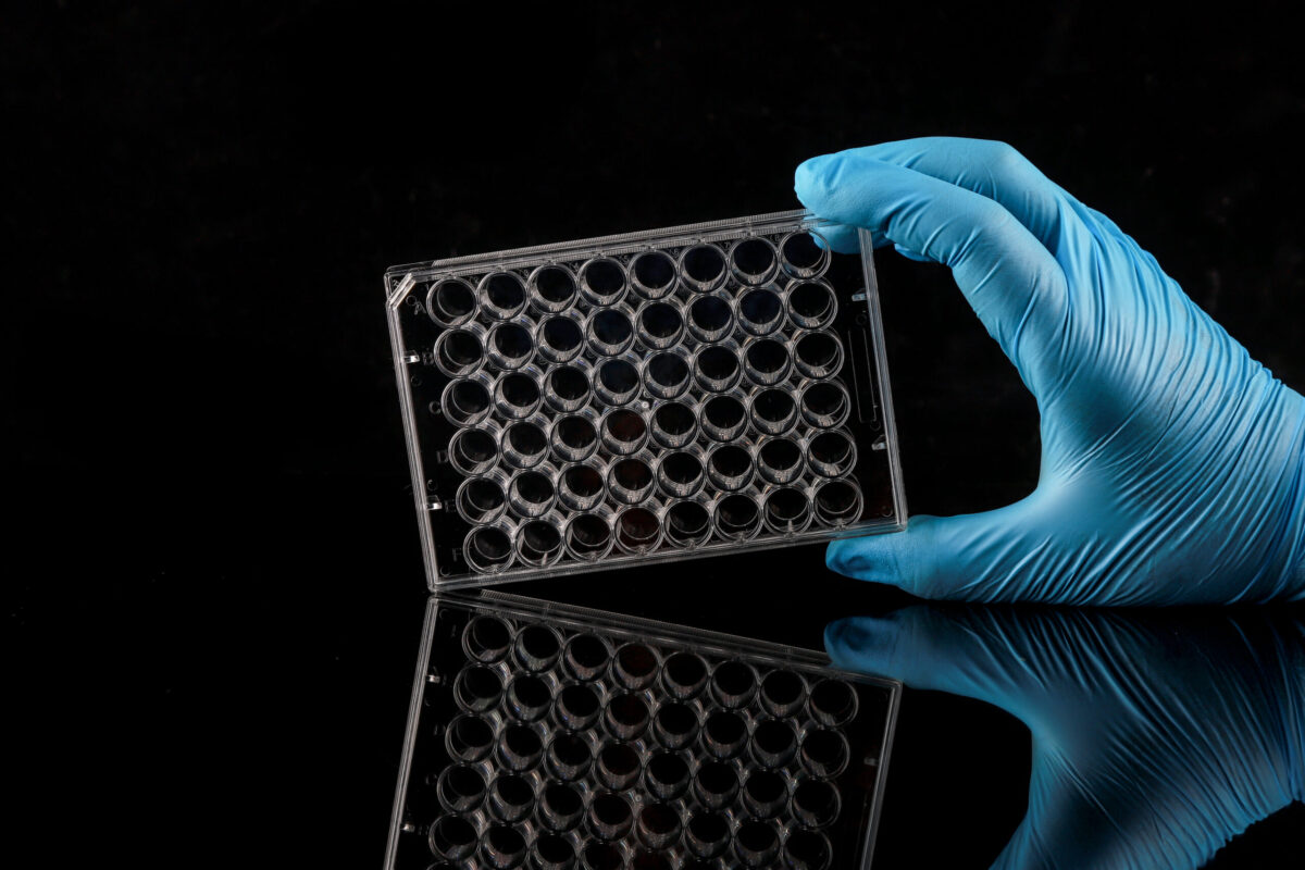 48 Well Cell Culture Plate (748001) | Nest | Ushelf