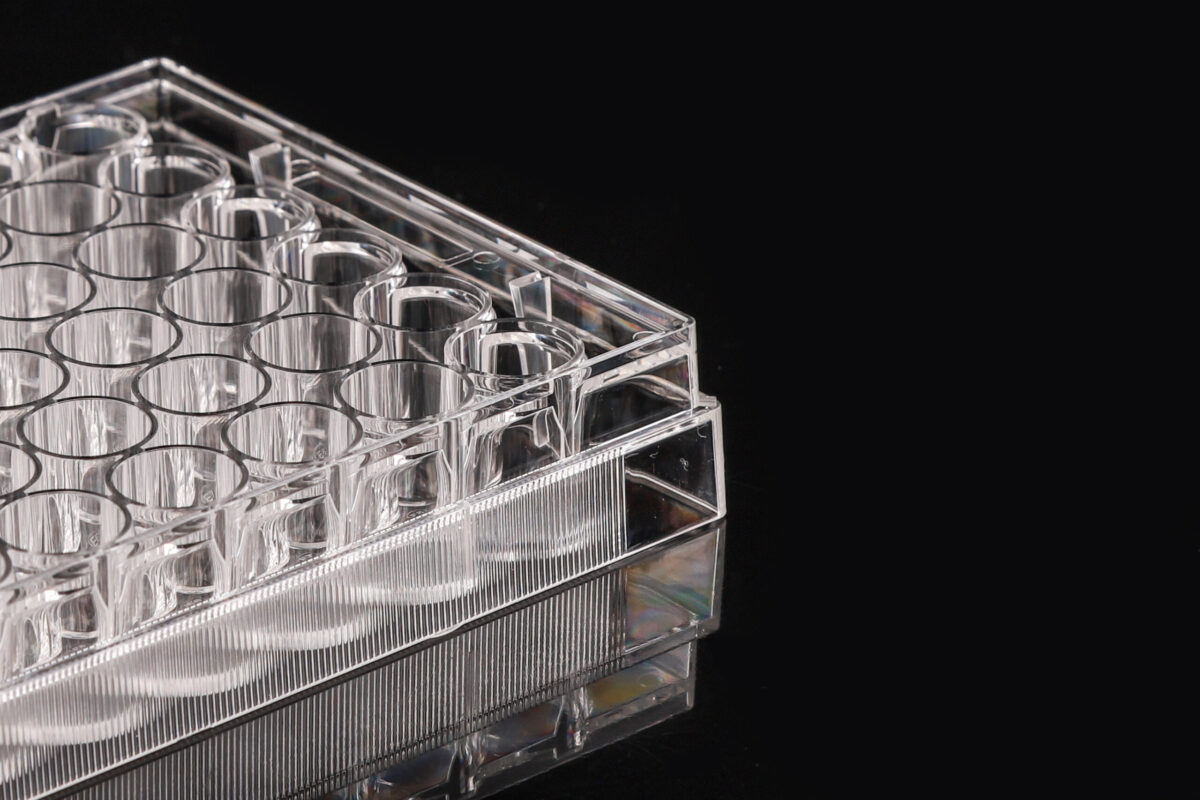 48 Well Cell Culture Plate (748002) | Nest | Ushelf