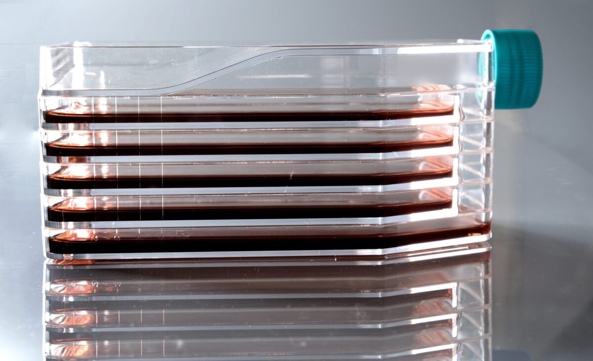 5-Layer Cell Culture Flask (731002) | Nest | Ushelf