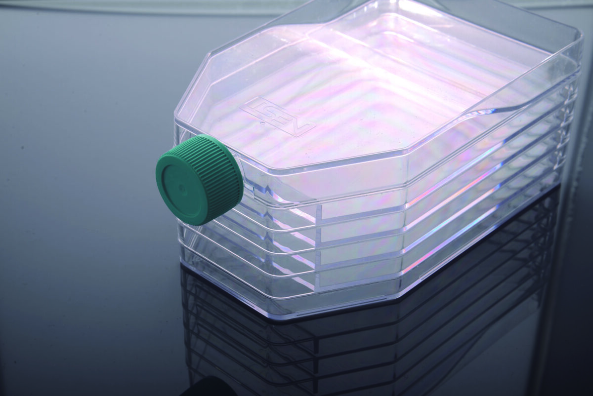 5-Layer Cell Culture Flask (731002) | Nest | Ushelf