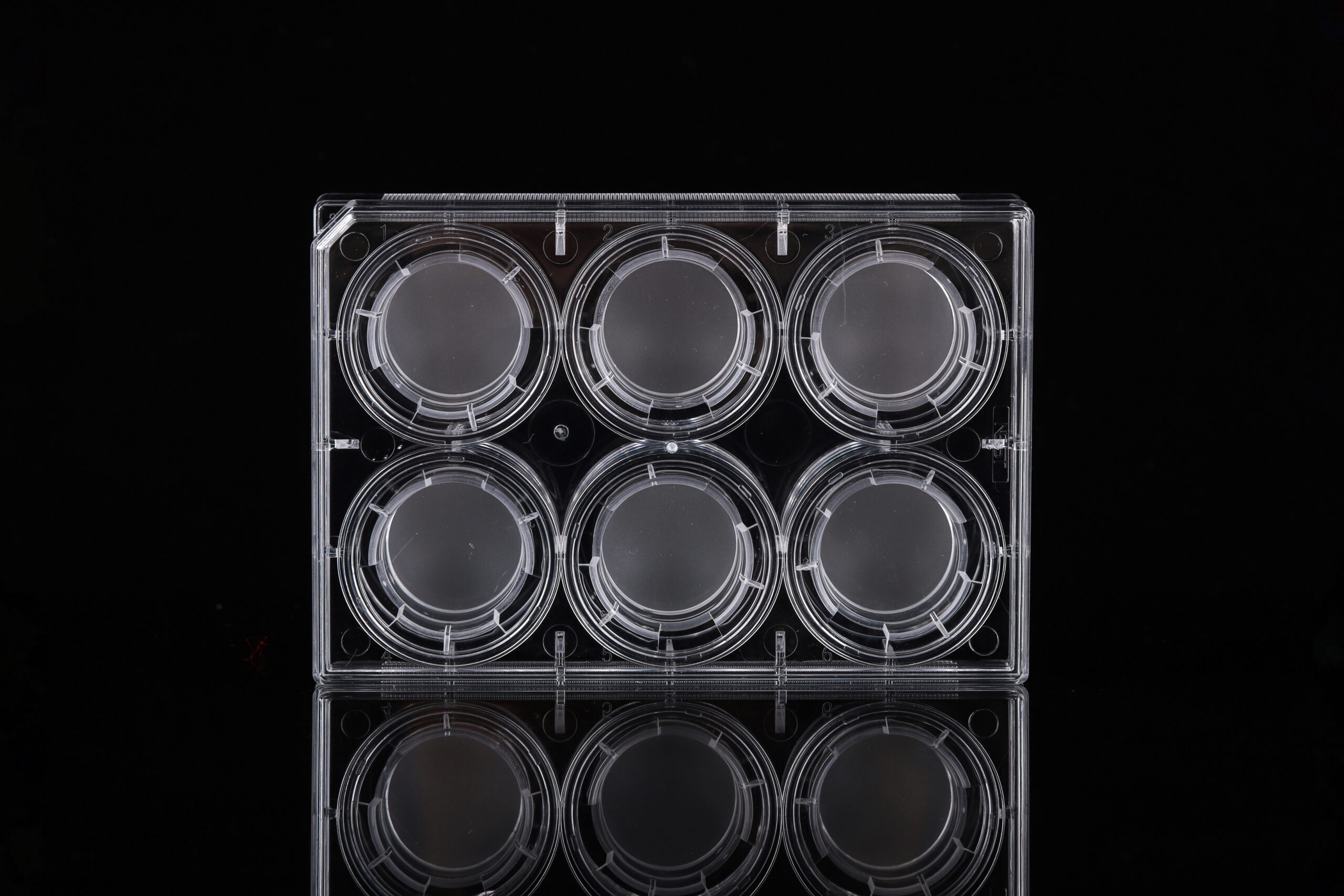 6 Cell Culture Inserts+6 Well Plate (723121) | Nest | Ushelf