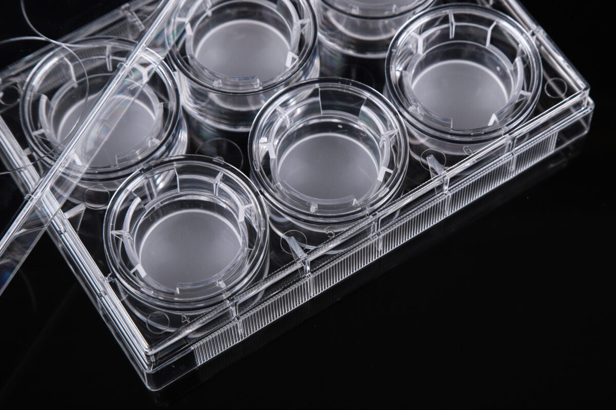 6 Cell Culture Inserts+6 Well Plate (723121) | Nest | Ushelf