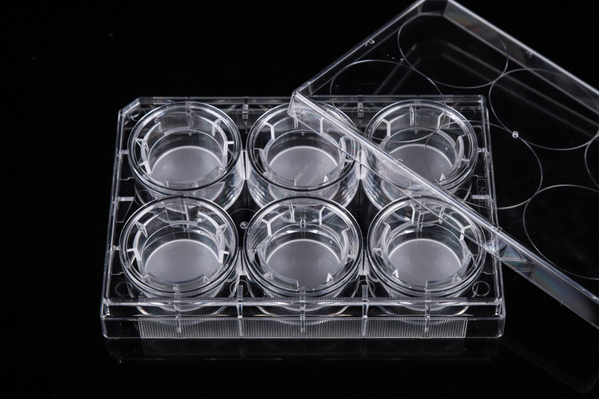6 Cell Culture Inserts+6 Well Plate (723121) | Nest | Ushelf