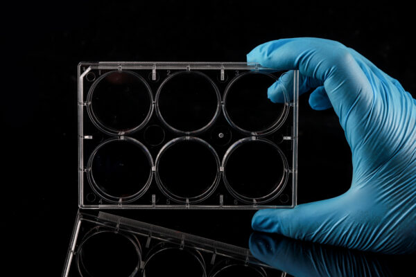 6 Well Cell Culture Plate (703001) | Nest | Ushelf