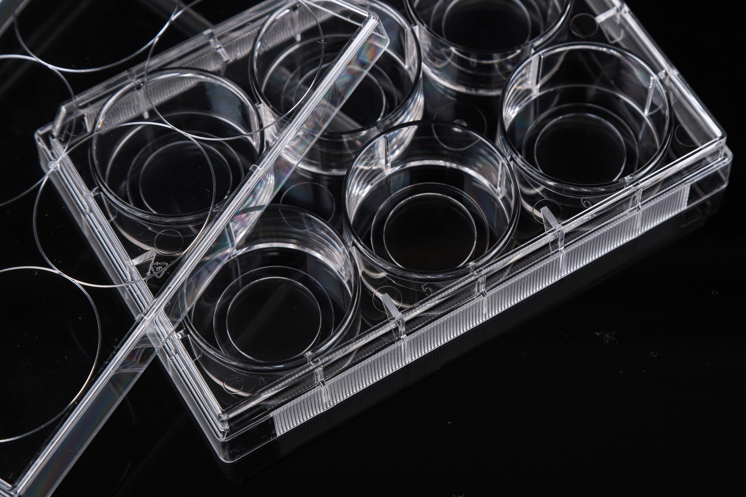 6 Well Glass Bottom Cell Culture Plate (801004) | Nest | Ushelf