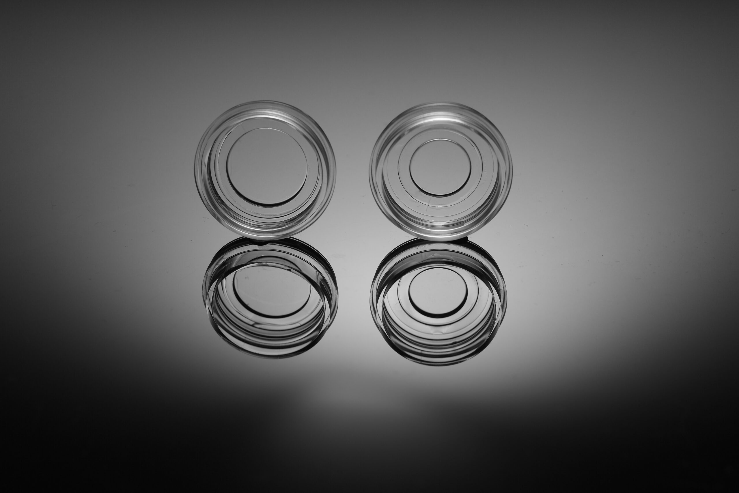 Glass Bottom Cell Culture Dish (801002) | Nest | Ushelf