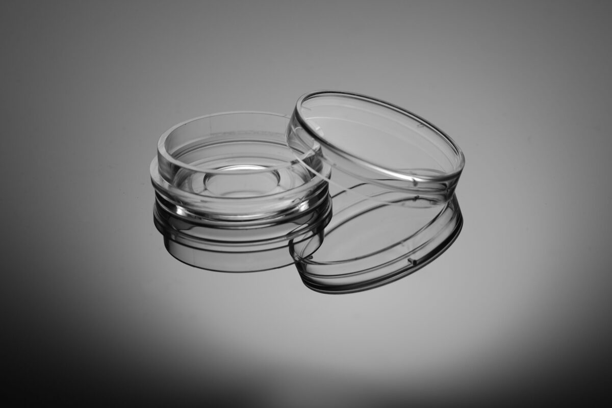 Glass Bottom Cell Culture Dish (801002) | Nest | Ushelf