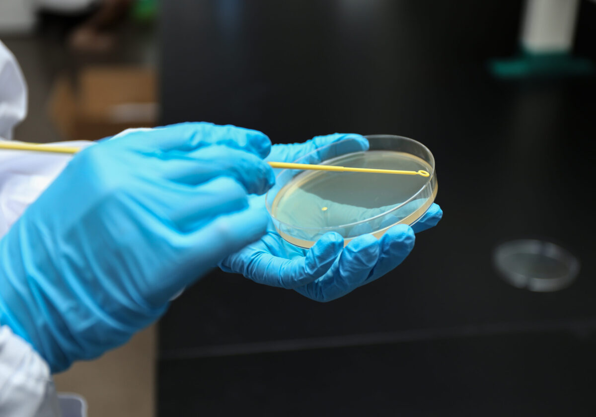 1µl Inoculating Loop, Blue, Individually Wrapped (717101) | Nest | Ushelf