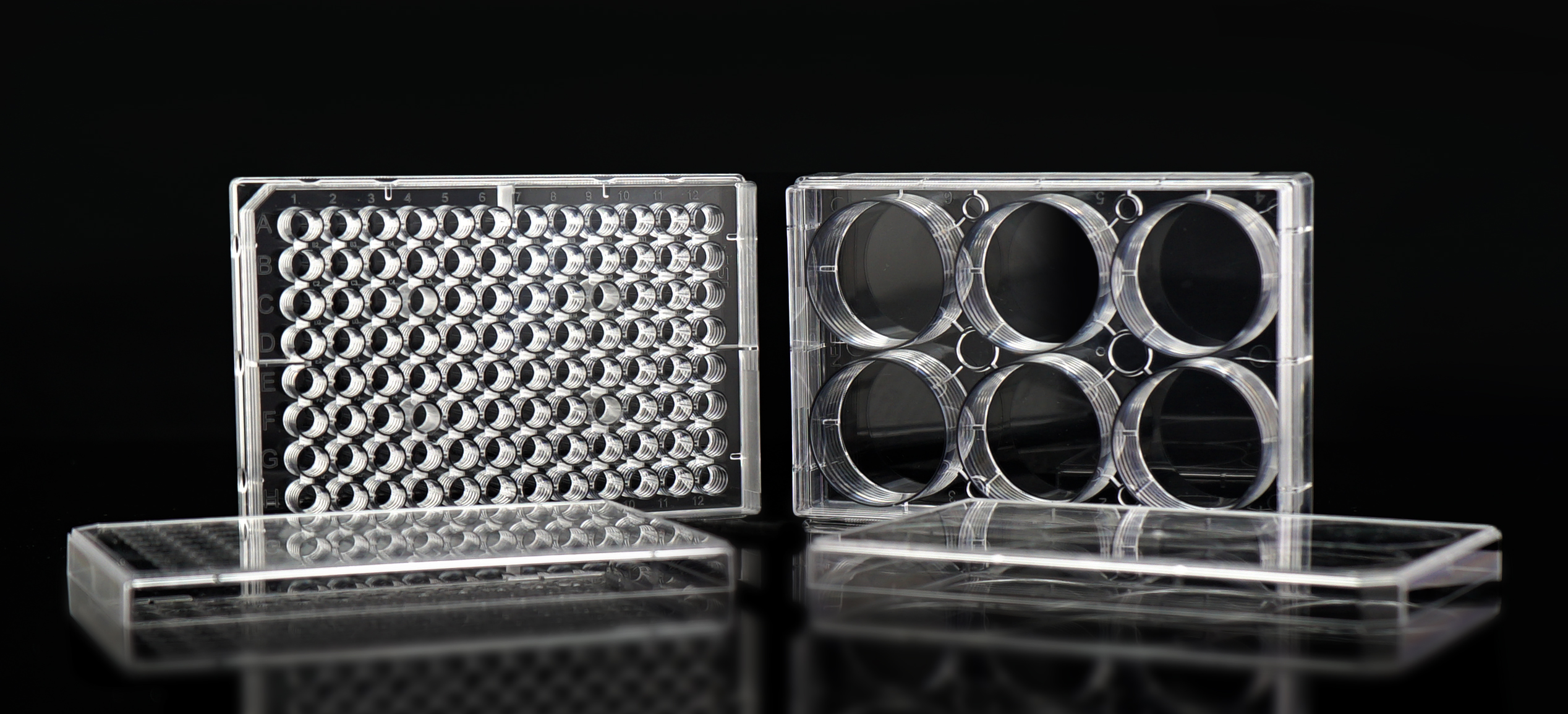 6 Well Low Evap EDGE Plate, Flat Bottom, Non-Treated, Sterile, 1/pk, 50 ...