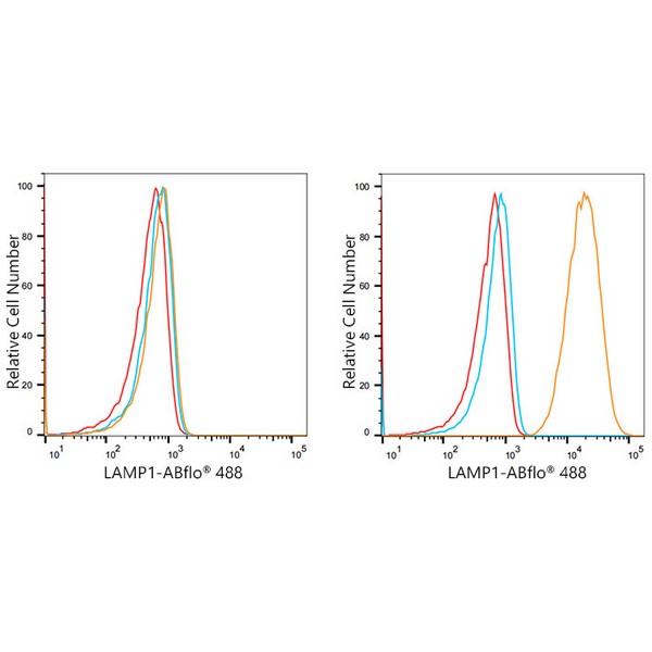 ABflo® 488 Rabbit anti-Human LAMP1/CD107a mAb (A22067) | Abclonal | Ushelf