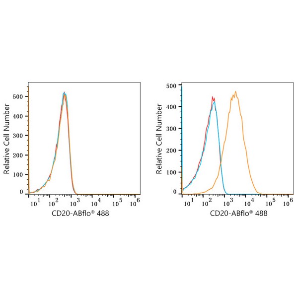 ABflo® 488 Rabbit anti-Human/Monkey CD20 mAb (A22152) | Abclonal | Ushelf