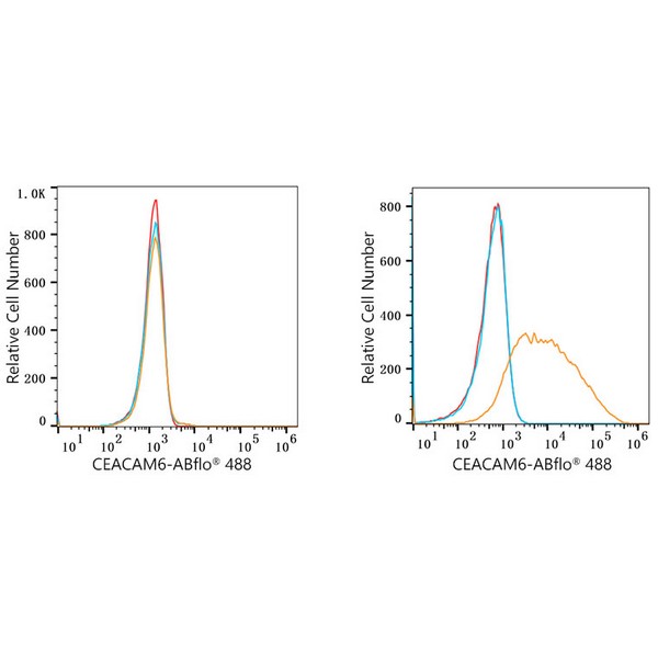 ABflo® 488 Rabbit anti-Human CEACAM6 mAb (A22187) | Abclonal | Ushelf