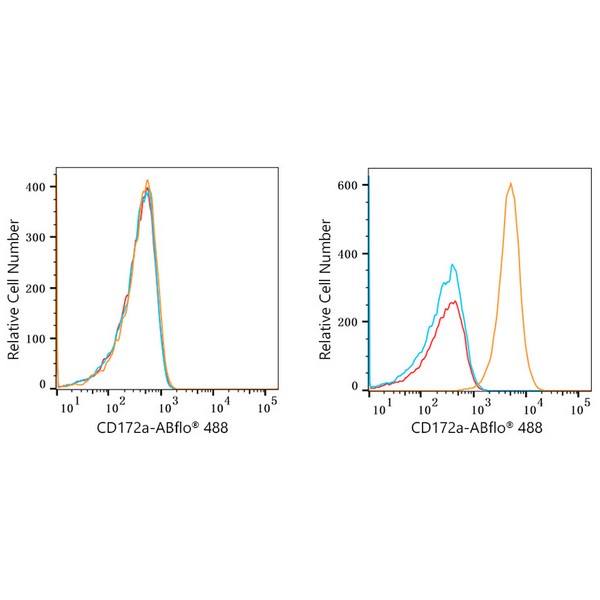 ABflo® 488 Rabbit anti-Human CD172a/SIRPα mAb (A22308) | Abclonal | Ushelf