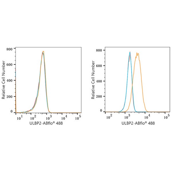 ABflo® 488 Rabbit anti-Human ULBP2 mAb (A22694) | Abclonal | Ushelf