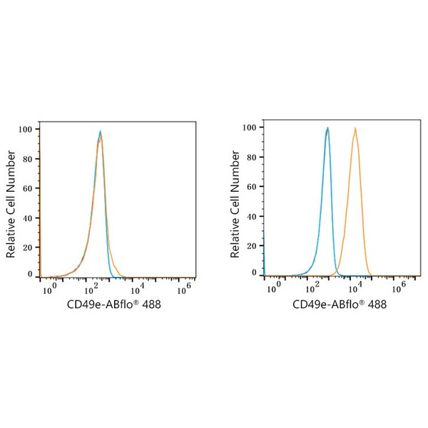 ABflo® 488 Rabbit anti-Human/Mouse Integrin alpha 5 (ITGA5/CD49e) mAb ...