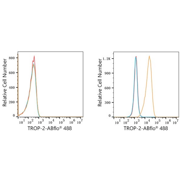 ABflo® 488 Rabbit anti-Goat IgG (Fab) fragment mAb (A22783) | Abclonal ...