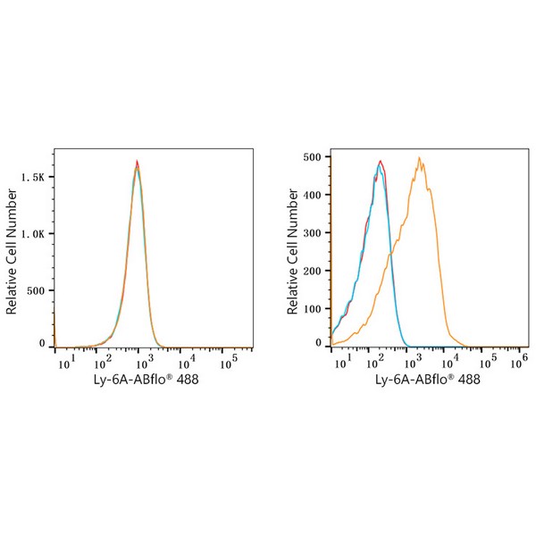 ABflo® 488 Rabbit anti-Mouse Ly-6A/E (Sca-1) mAb (A22786) | Abclonal ...