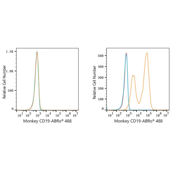ABflo® 488 Rabbit anti-Human/Monkey CD19 mAb (A23008) | Abclonal | Ushelf