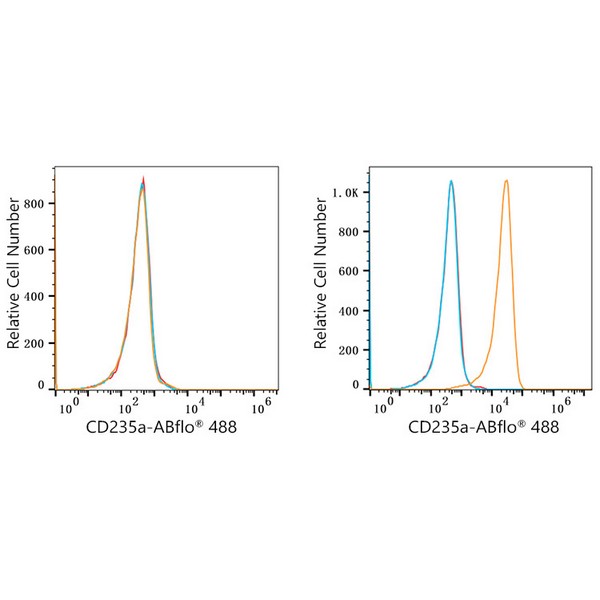 ABflo® 488 Rabbit anti-Human CD235a/Glycophorin A mAb (A23014 ...