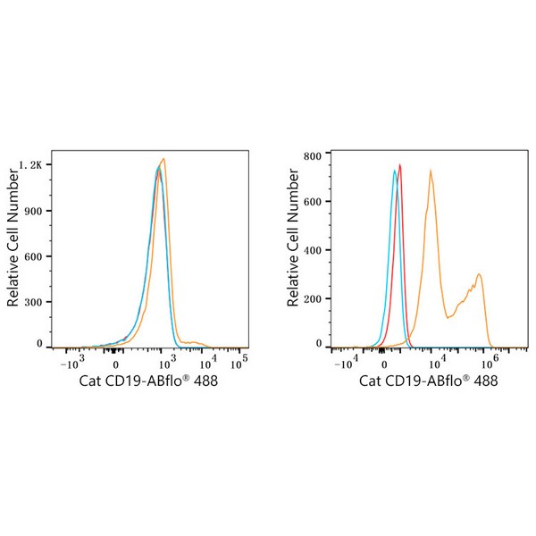 ABflo® 488 Rabbit anti-Cat CD19 mAb (A23100) | Abclonal | Ushelf