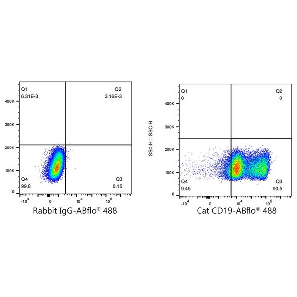ABflo® 488 Rabbit anti-Cat CD19 mAb (A23100) | Abclonal | Ushelf