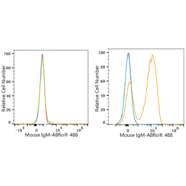 ABflo® 488 Rabbit anti-Mouse IgM mAb (A23114) | Abclonal | Ushelf