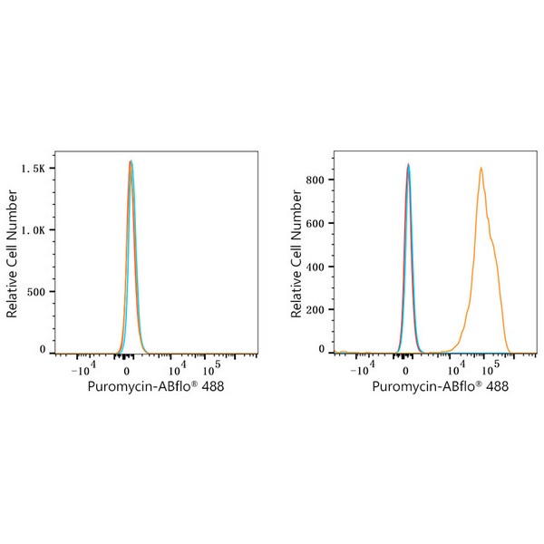 ABflo® 488 Rabbit anti-puromycin mAb (A23130) | Abclonal | Ushelf