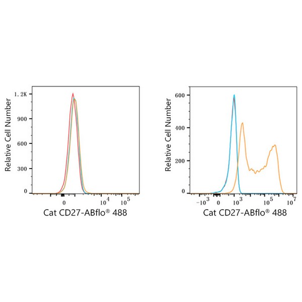 ABflo® 488 Rabbit anti-Cat CD27 mAb (A23171) | Abclonal | Ushelf