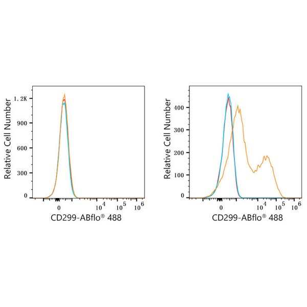 ABflo® 488 Rabbit anti-Human DC-SIGNR/CD299 mAb (A23173) | Abclonal ...