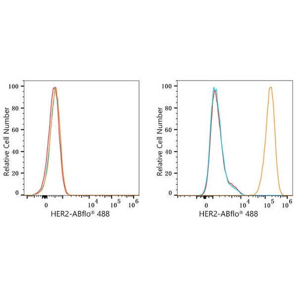 ABflo® 488 Rabbit anti-Human HER2/ErbB2 mAb (A23182) | Abclonal | Ushelf