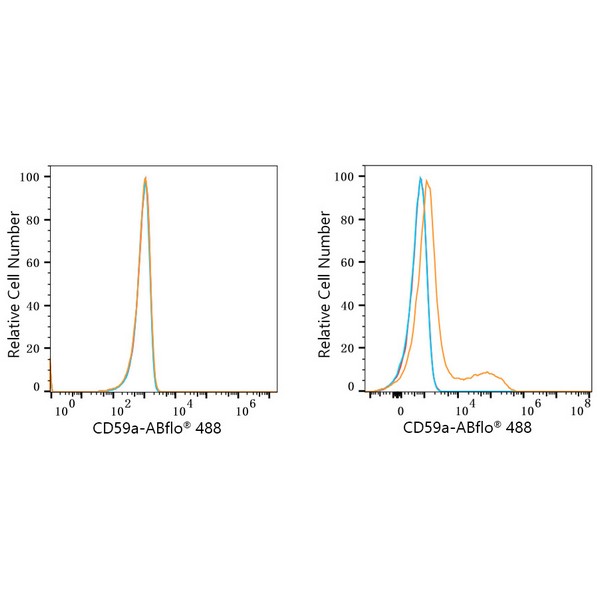 ABflo® 488 Rabbit anti-Mouse CD59a mAb (A23361) | Abclonal | Ushelf