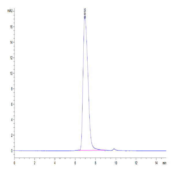 Human TPBG/5T4 Protein (5T4-HM401) | KACTUS Biosystems | Ushelf