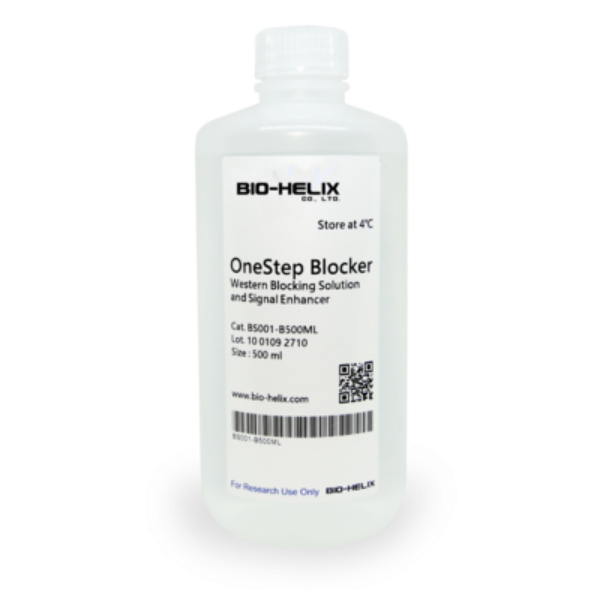 OneStep Blocker - Western Blocking Solution and Signal Enhancer (BS001 ...